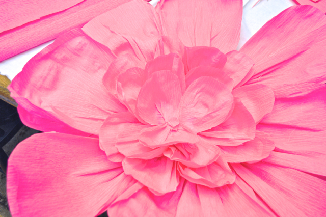 How to make giant paper flowers